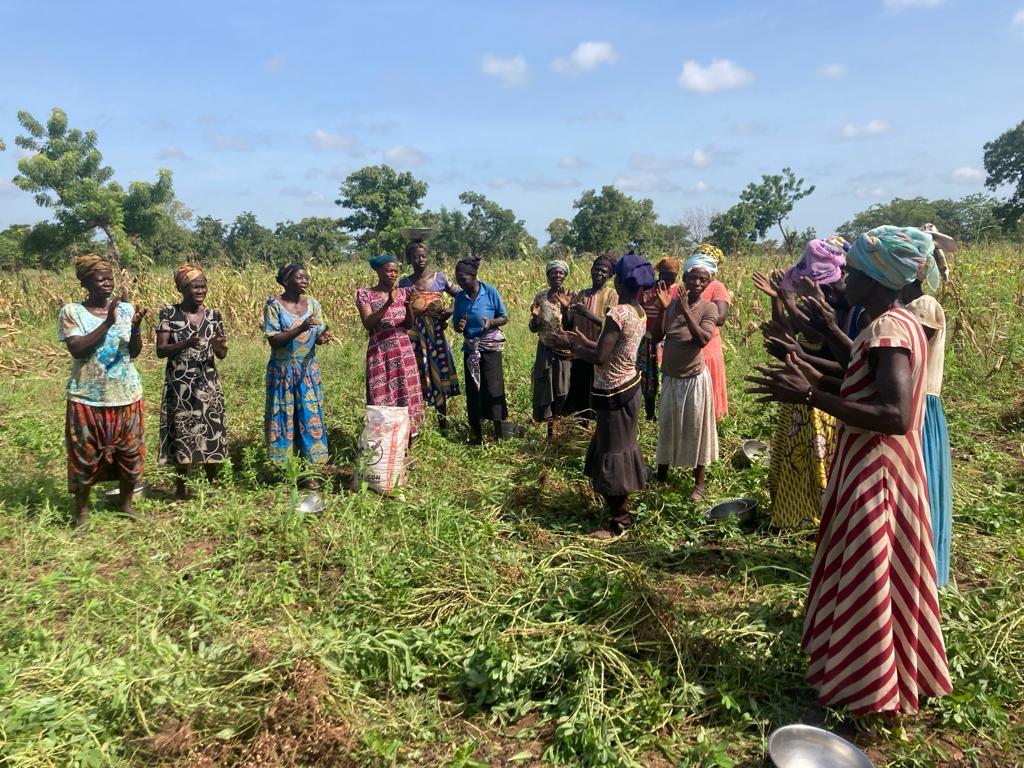 Projects – Pronet North